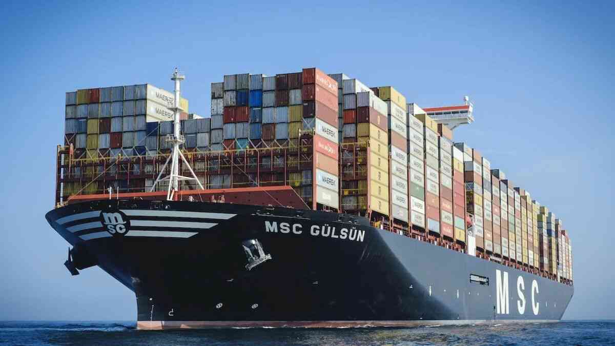 World's Largest Shipping Container Ships in 2023 | SCF